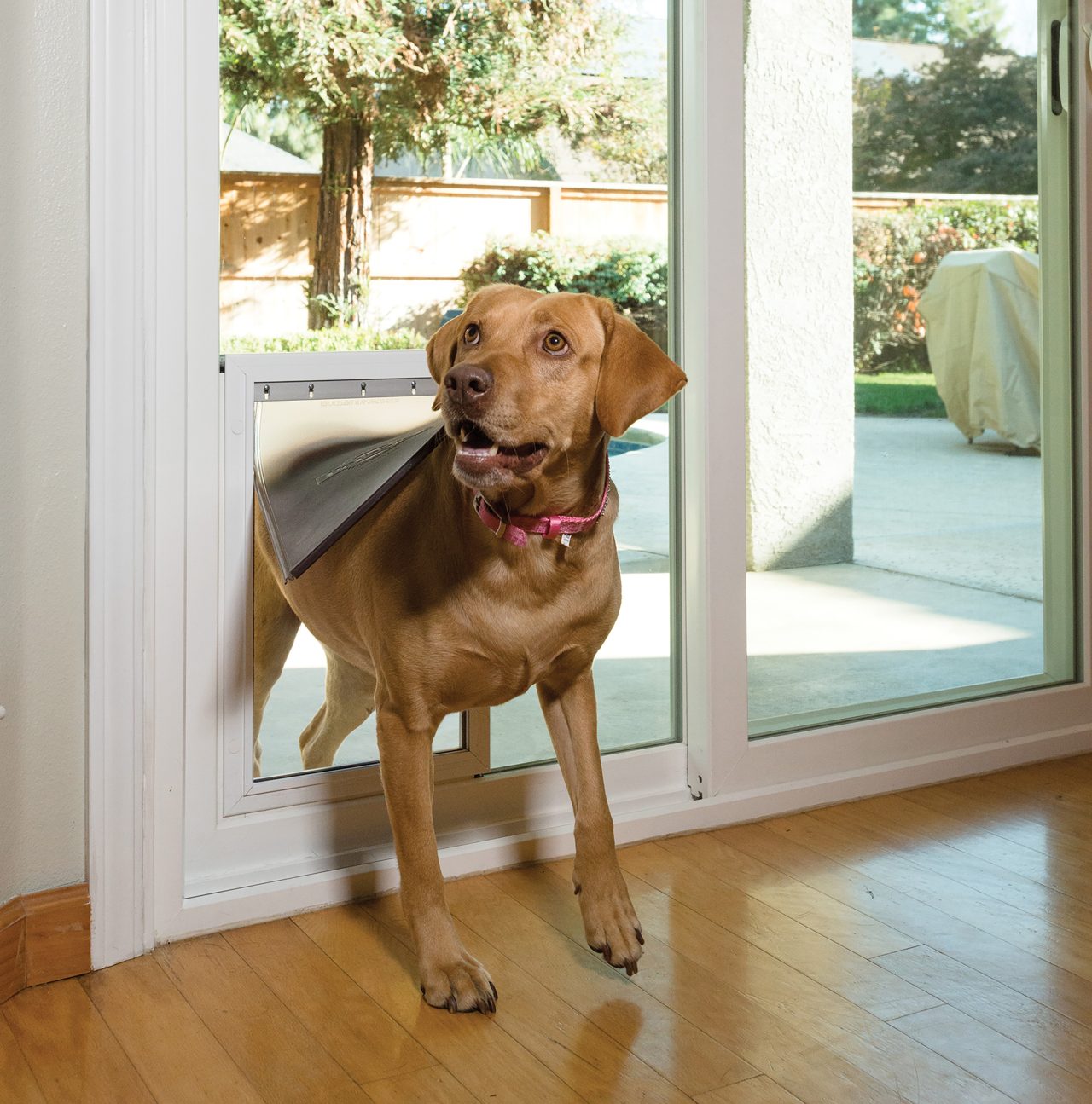 Gallery - JWG Windows and Doors | San Diego, CA